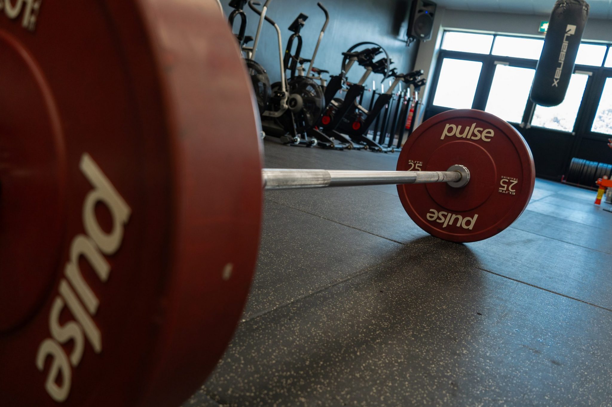 Services - Touchline Performance